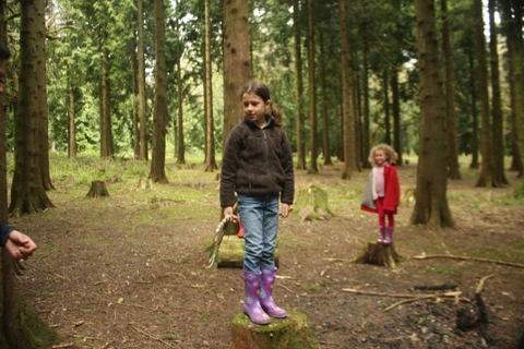 Campsite Review: Inwood Campsite, Nr Basingstoke, Berkshire. – YellowFields
